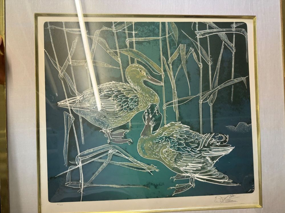 Hans Erni Litographie | Nummeriert und Signiert | Entenmotiv (Gebraucht) in Zollikon für CHF 179 ...