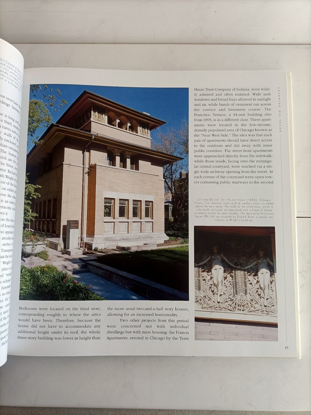 The life and works of Frank Lloyd Wright / Maria Costantino (Gebraucht ...