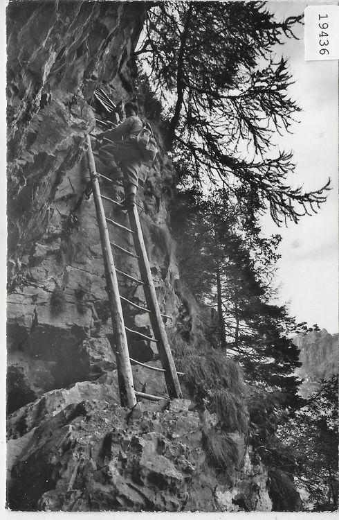 Albinenleitern am Felsenweg von (Antik) in für CHF 3.5 – mit Lieferung ...