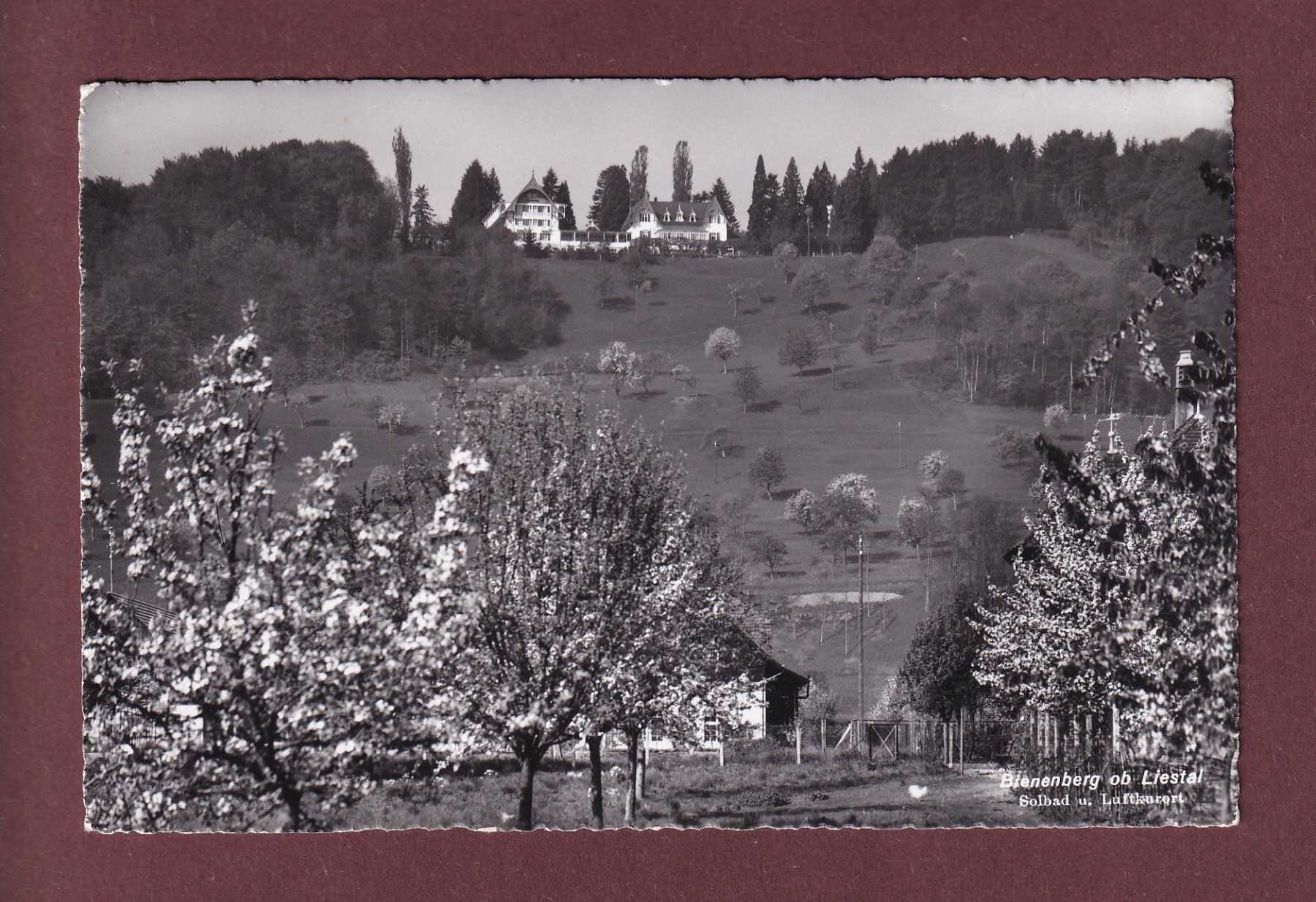 BIENENBERG ob Liestal - 1957 (D'occasion) à Pully pour CHF 6 – avec ...