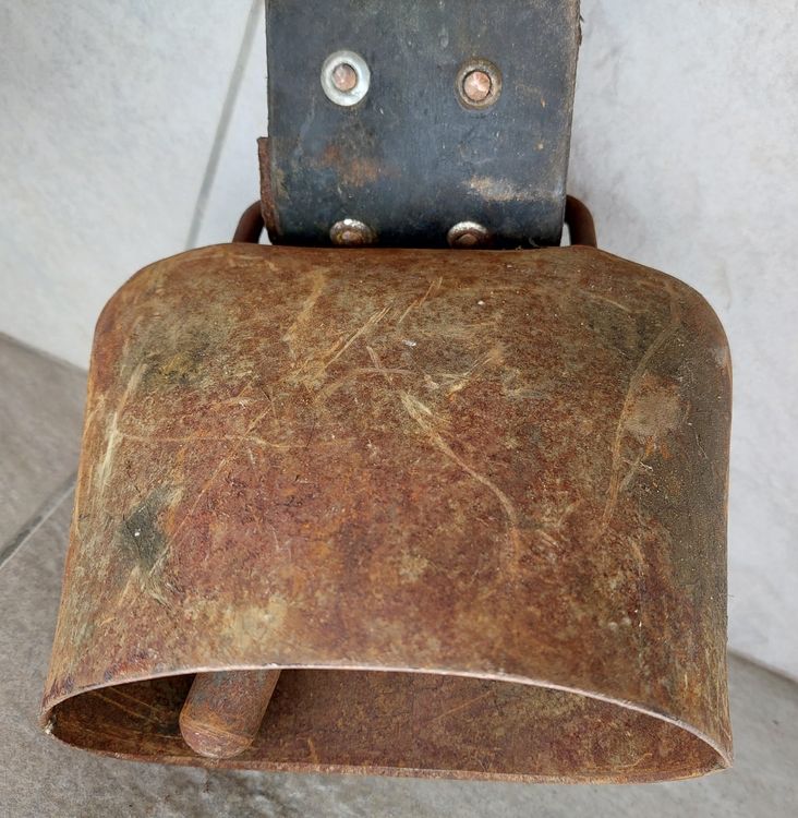Grosse cloche ancienne avec cuir 1,7 kg (Gebraucht) in PERLY für CHF 45 ...