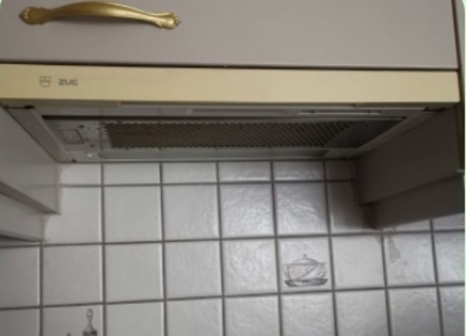 Hotte zug (D'occasion) à Brügg BE pour CHF 110 – retrait uniquement ...