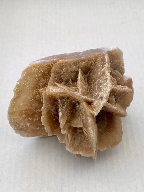 Sandrose, ca. 8 x 5 x 6 cm | Kaufen auf Ricardo