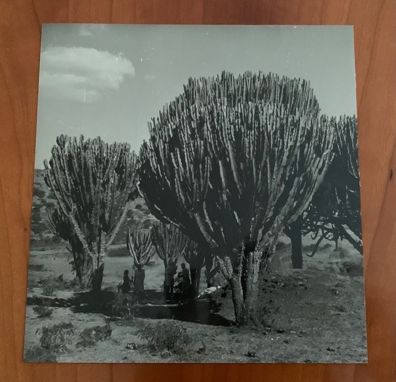 Foto by George Rodger - einer der Magnum Gründer (Gebraucht) in Bern ...