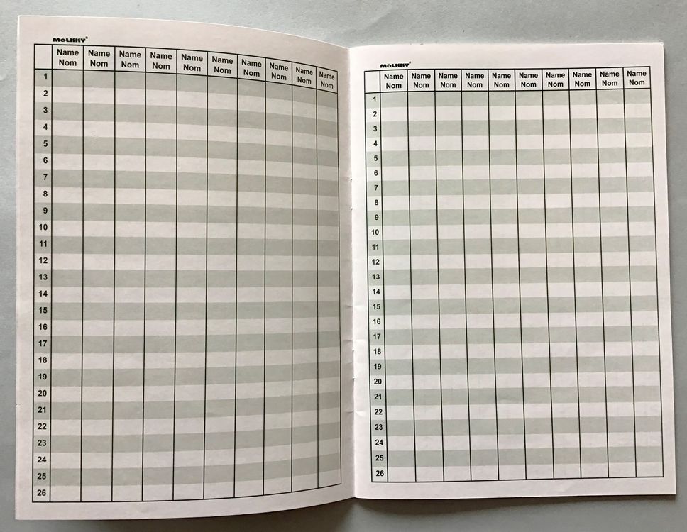 Mölkky Heft mit Spielanleitung und Punkte-Tabelle (Neu (gemäss ...