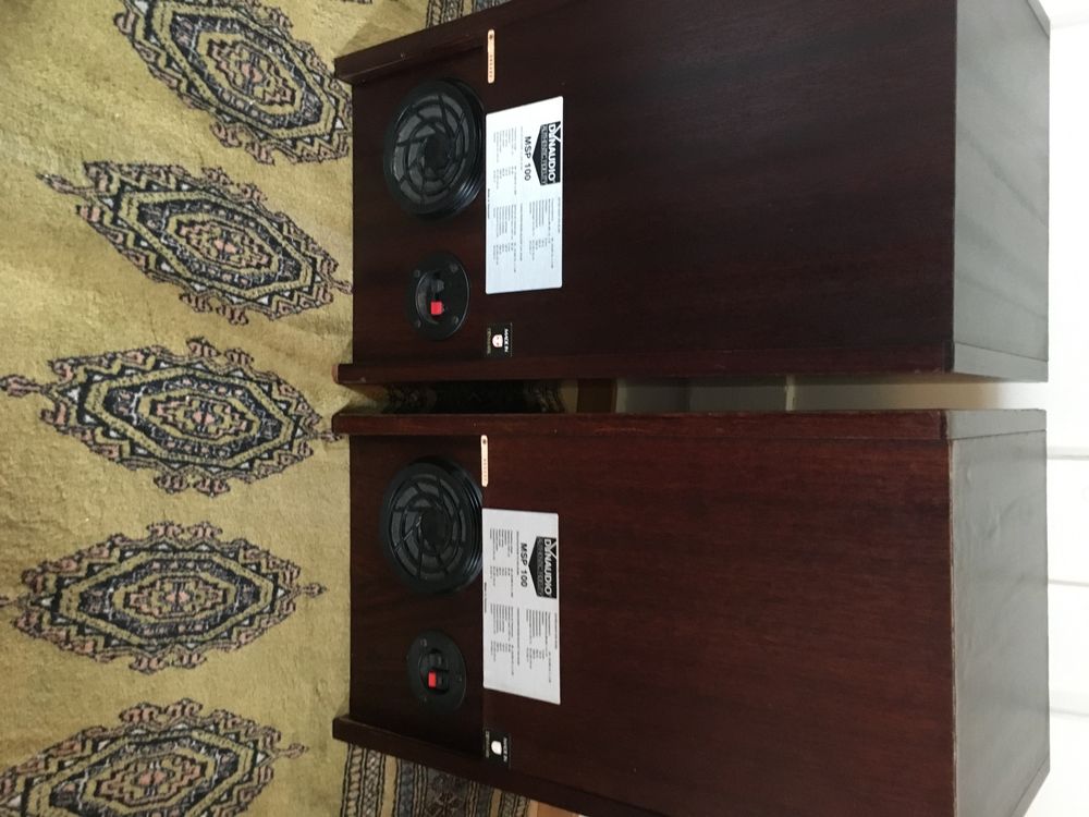 Dynaudio MSP 100 | Kaufen auf Ricardo