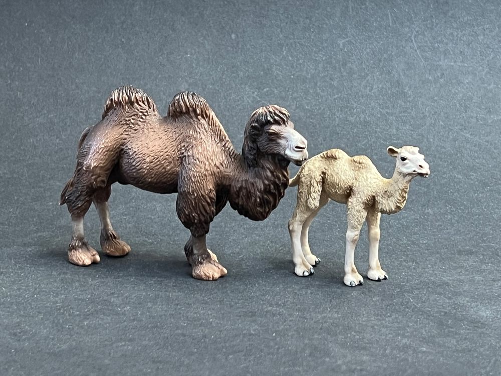 Schleich Trampeltier Kamel Fohlen (Gebraucht) in Ennetbaden für CHF 26 – mit Lieferung auf ...