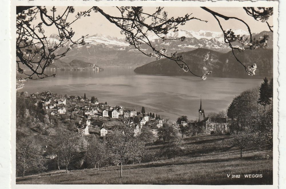 Weggis | Kaufen auf Ricardo