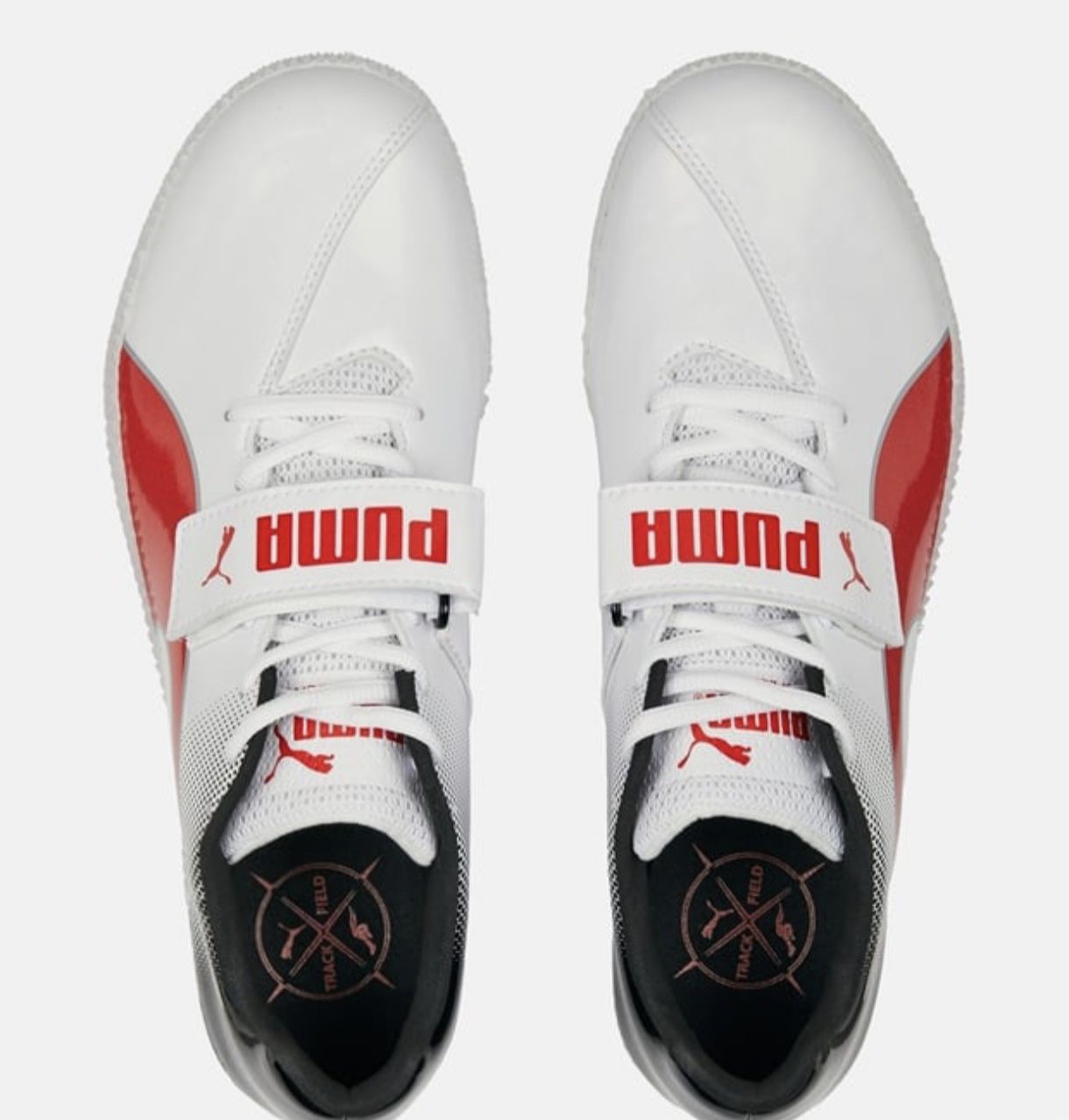 EvoSpeed High Jump fabrikneu in Größe 44,5, NP SFR. 199,-- (Neu und ...