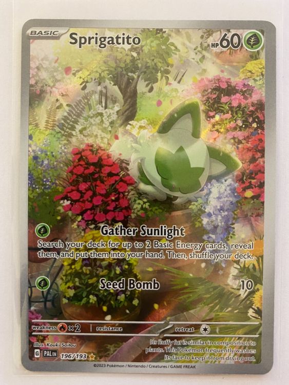 Pokemon Sprigatito 196/193 Paldea Evolved EN (Neu (gemäss Beschreibung ...