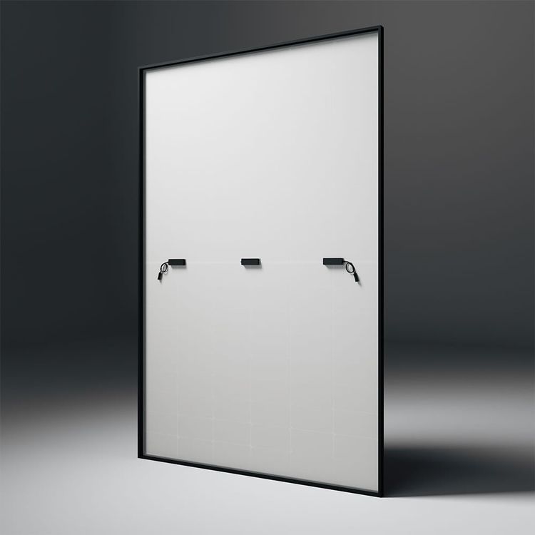 36x Solarmodule Axitec 460W GLAS-GLAS N-TYP Topcon Bifacial (Neu und originalverpackt) in Olten ...