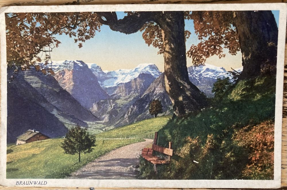 Braunwald (Gebraucht) in Gränichen für CHF 1 – mit Lieferung auf ...
