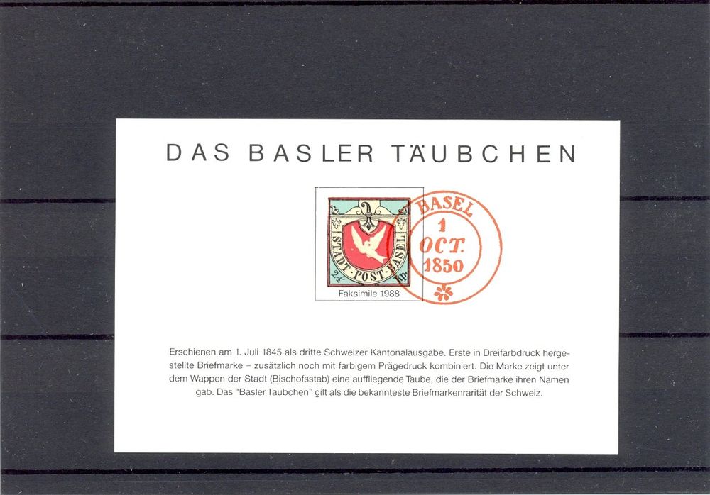 Basler Taube | Kaufen auf Ricardo