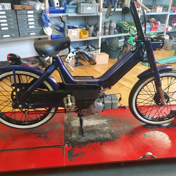 Mofa Puch Maxi N Custom Beschreibung und Fotos siehe unten (Gebraucht ...