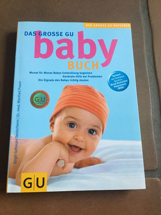 Das Grosse Baby Buch Ratgeber (Gebraucht) in Rechthalten für CHF 2 ...
