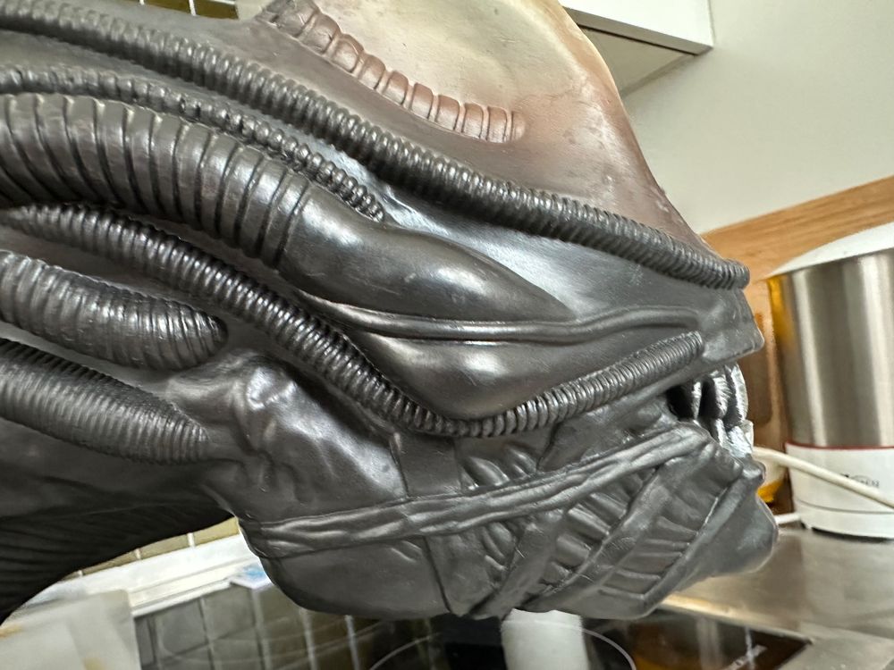 1:2 Giger Alien Büste DVD Box NOT Sideshow Hot Toys (Gebraucht) in ...