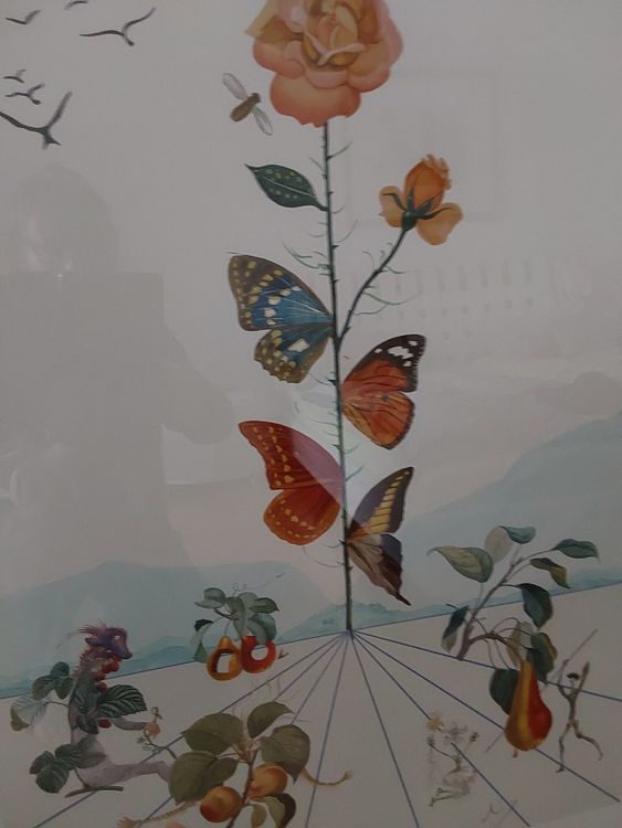 Salvador Dali Flordali II, 1981 (Gebraucht) in Frenkendorf für CHF 6 ...
