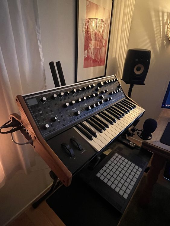 Moog Sub 37 Tribute Edition (Gebraucht) in Obernau für CHF 1449 – nur ...