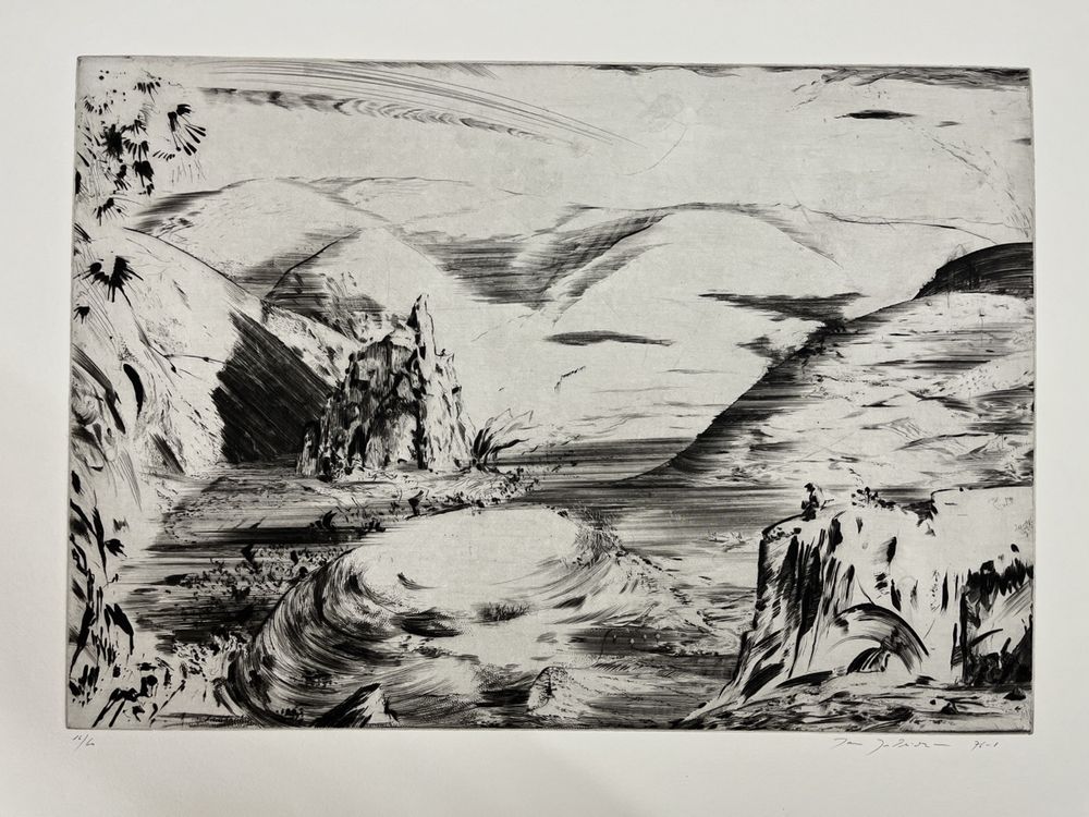 aus Grafiksammlung Radierung von Jan Jedlicka 1976 (Gebraucht) in ...