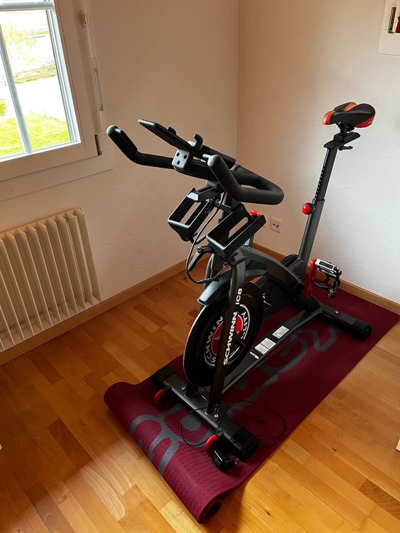 Schwinn IC8 | Kaufen auf Ricardo