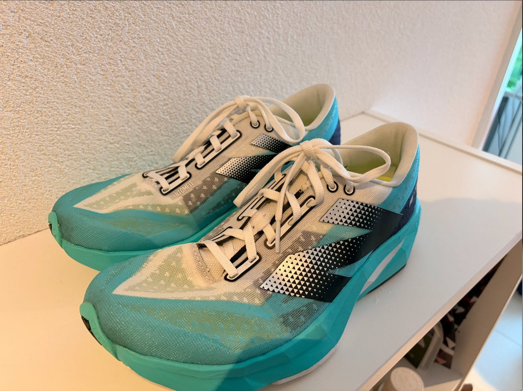 New Balance Fuel Cell Rebel V4 NC - ran once (10km) (D'occasion) à ...
