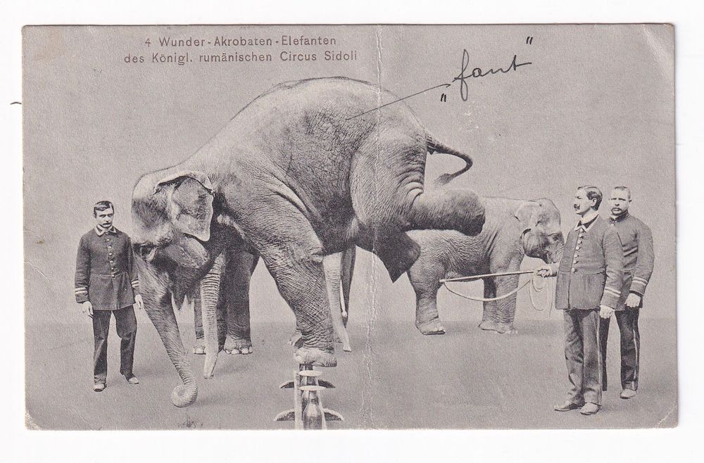 CH, 1907, Wunder Akrobaten Elefanten (Gebraucht) in Basel für CHF 3 ...