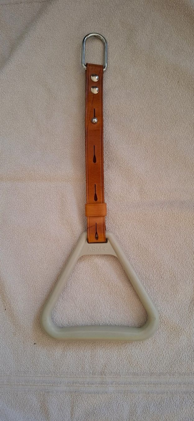 ein Triangelgriff, als Aufstehhilfe für Pflegebett o.Stange (Gebraucht ...