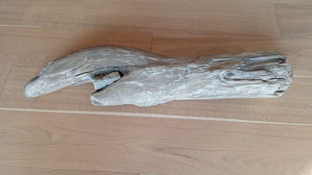 Schwemmholz mit Stein (Neu und originalverpackt) in Widnau für CHF 120 – nur Abholung auf ...