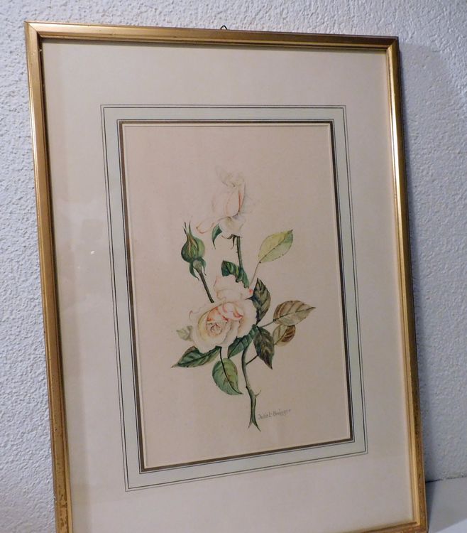 Neue Fundschätze - Kunst Rosenbild - Kunstdruck signiert (Gebraucht) in Sursee für CHF 8 – nur ...