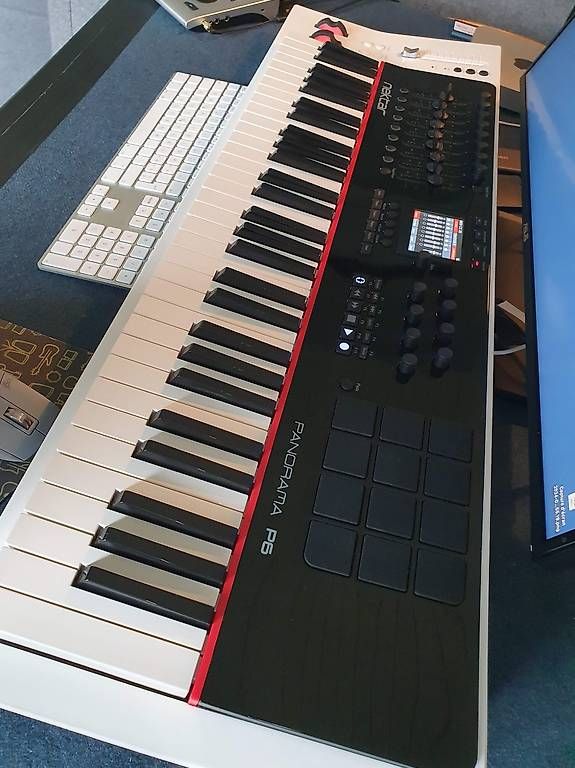 Clavier MIDI Nektar Panorama P6 (Gebraucht) in Farvagny-le-Grand für ...