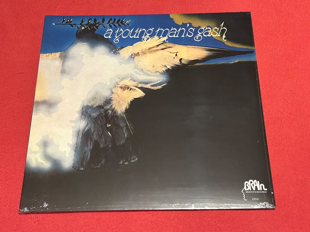 Gash A Young Man’s Gash Vinyl Album (Neu und originalverpackt) in ...