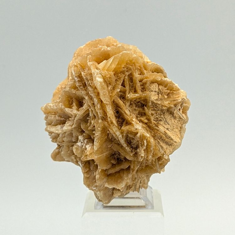 SPHÄRE der WÜSTENROSE, Ästhetisch und besonders (Nuovo (secondo la ...