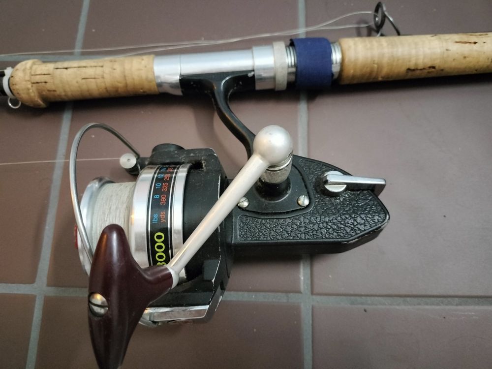 Alte Hechtrute mit dam Quick 3000 Rolle (Gebraucht) in Zürich für CHF ...