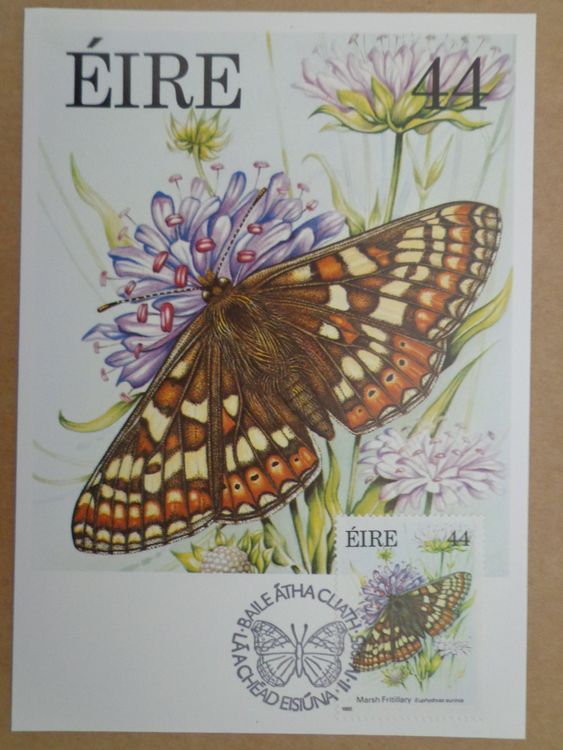 Maximumkarte MK 1985 Schmetterling/ papillon EIRE IRELAND (Neu (gemäss Beschreibung)) in Le ...
