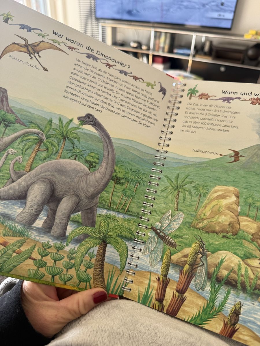 🇩🇪 Ravensburger – Alles über Dinosaurier 🦖 🦕 (Gebraucht) in Bassersdorf für CHF 8 – mit ...