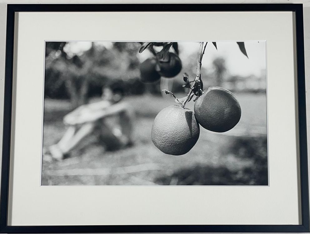 Alex Morel (XX) Fotografie (Gebraucht) in Root für CHF 170 – mit ...