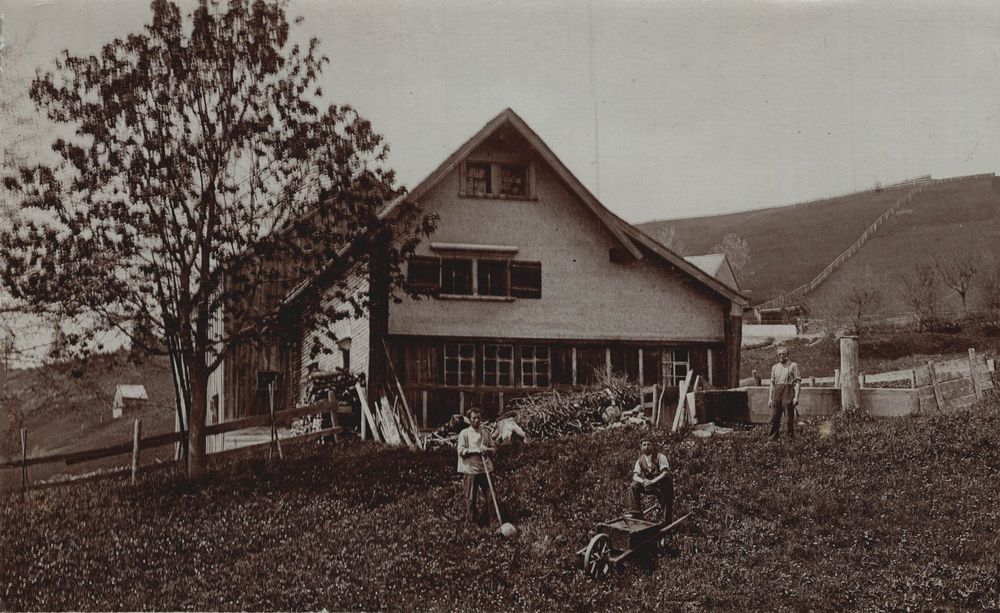 Wohnhaus mit Scheune, Bauer und Knecht (Gebraucht) in Bronschhofen für CHF 29 – mit Lieferung ...