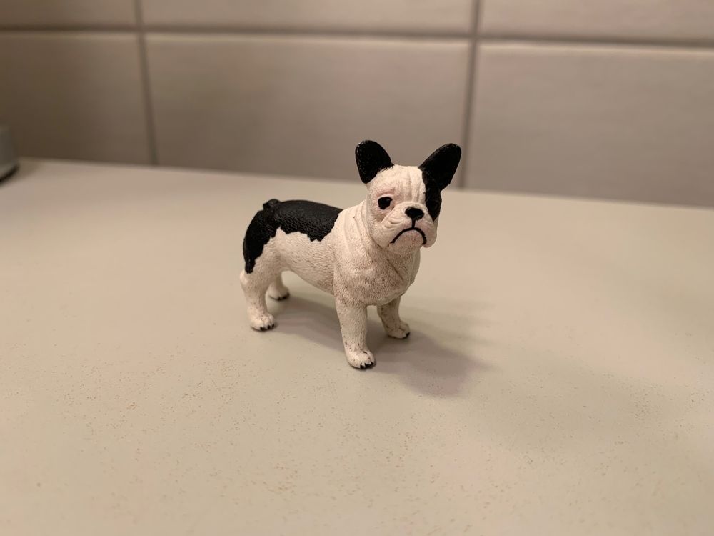 SCHLEICH - 13877 - Französische Bulldogge (Gebraucht) in Hüttwilen für ...