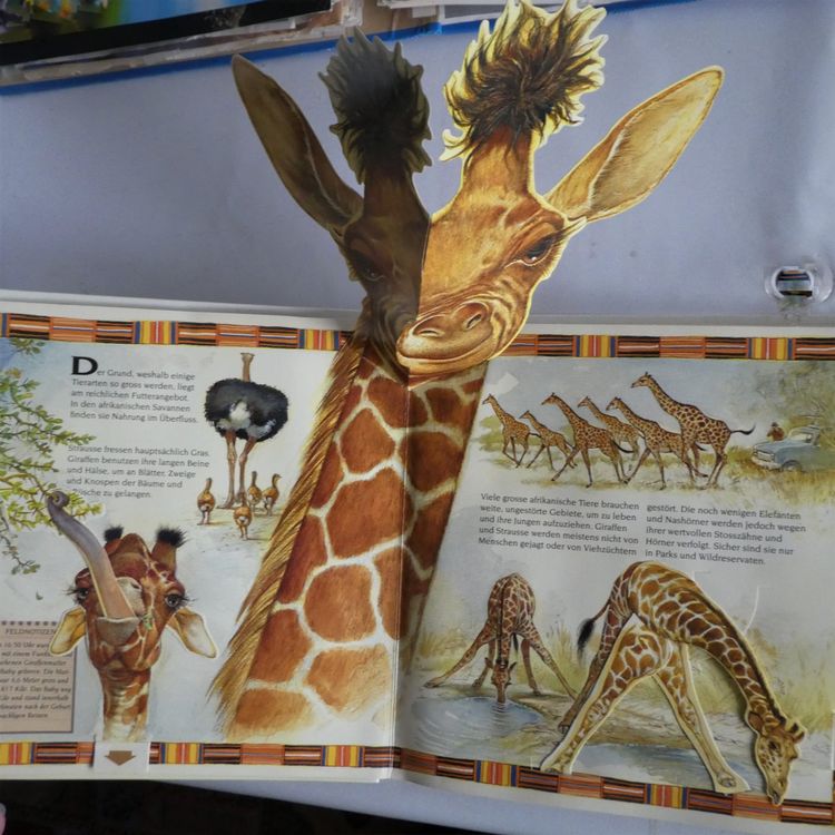 3D Kinderbuch. Bewegliche Bilder. Riesen der Tierwelt Afrika | Kaufen auf Ricardo