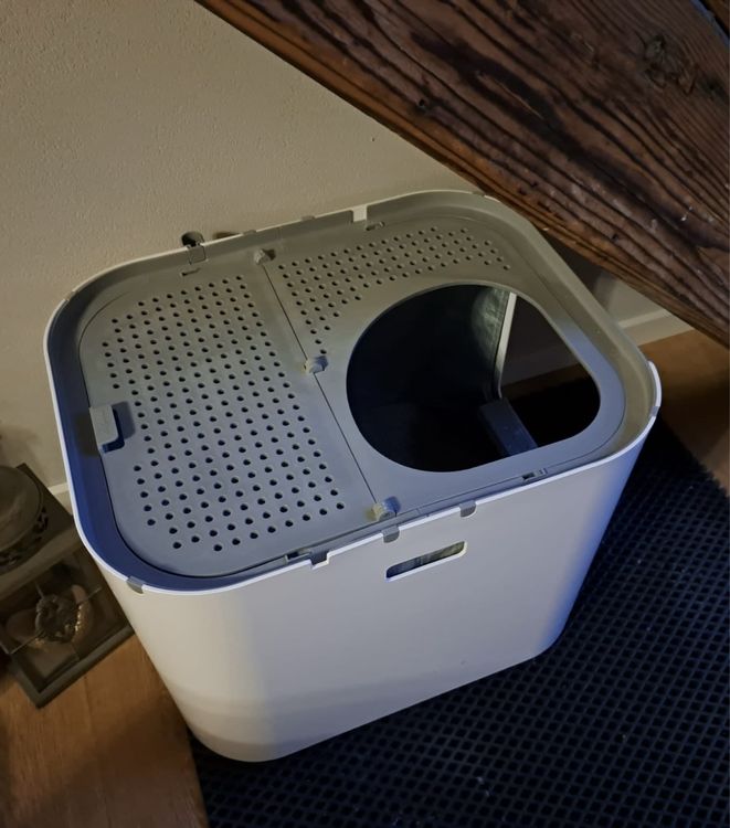 Modkat XL Katzentoilette | Kaufen auf Ricardo