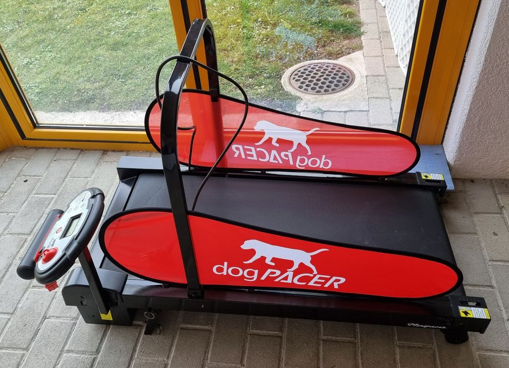 Hundelaufband Dogpacer Minipacer (Gebraucht) in Steinerberg für CHF 171 ...