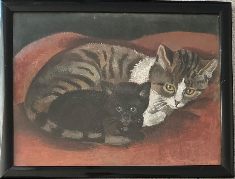 Dora Hiltbrunner (XIX-XX) Mischtechnik von Katzen (Gebraucht) in Root ...