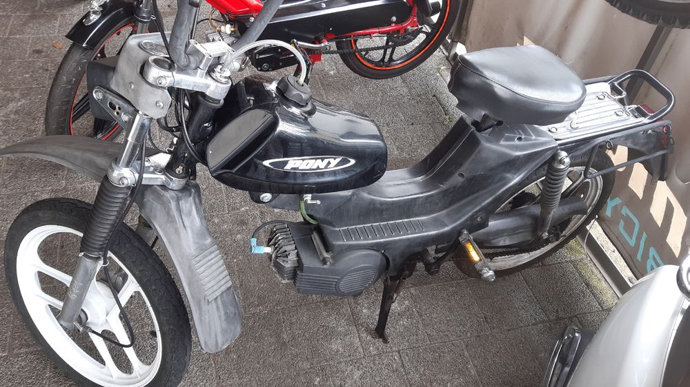 Pony Cross Mofa mit Ausweis (Gebraucht) in Roggwil BE für CHF 790 – nur ...