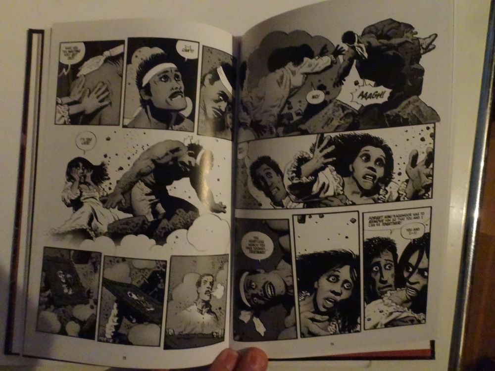 Ragemoor Comic von Jan Strnad & Richard Corben Englisch (Gebraucht) in ...