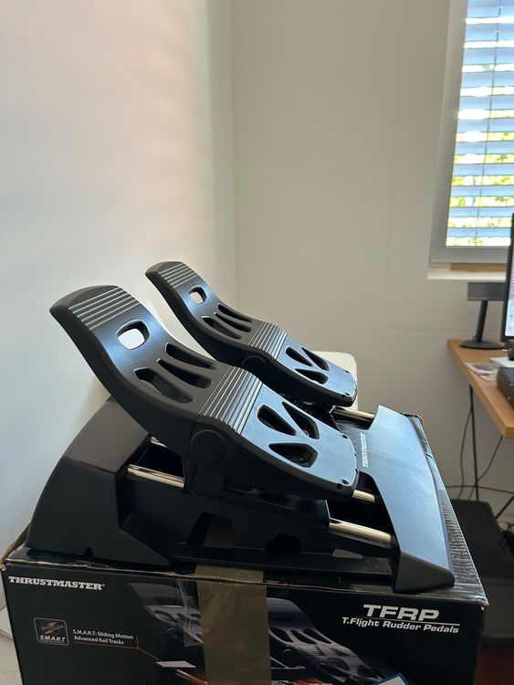 Thrustmaster TFRP Rudder Pedals (Gebraucht) in Morbio Inferiore für CHF ...