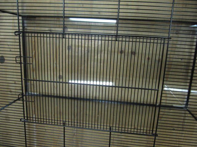 Nagetierkäfig/Terrarium/Aquarium Glas 100x50x50 | Kaufen auf Ricardo