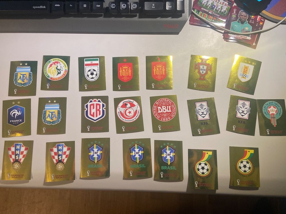 22 Wappen WM 2022 Panini (Gebraucht) in Kreuzlingen für CHF 9 – mit Lieferung auf Ricardo kaufen