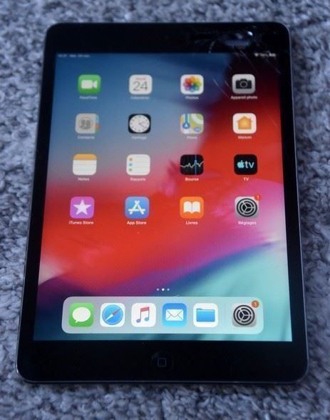 Apple iPad mini 2 A1489 (Défectueux) à Collonges pour CHF 73 – avec ...