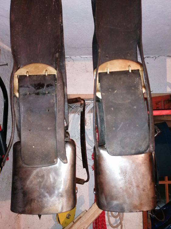 Talax | Kaufen auf Ricardo