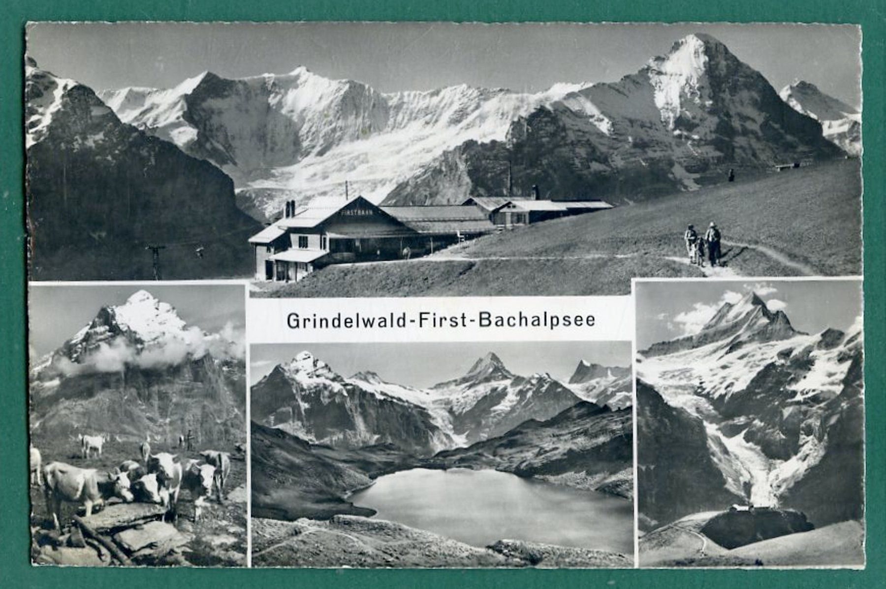Grindelwald - First -Bachalpsee, 1966 (Gebraucht) in Sargans für CHF 1 ...
